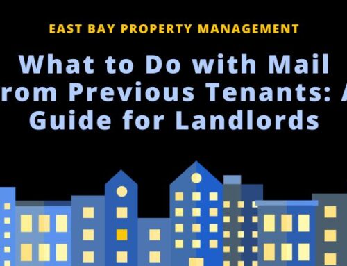 A Landlord's Guide to Holdover Tenants: Everything You Need to Know
